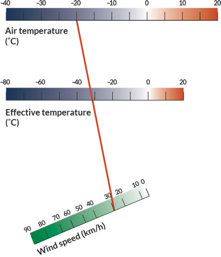 Effective temperature activity