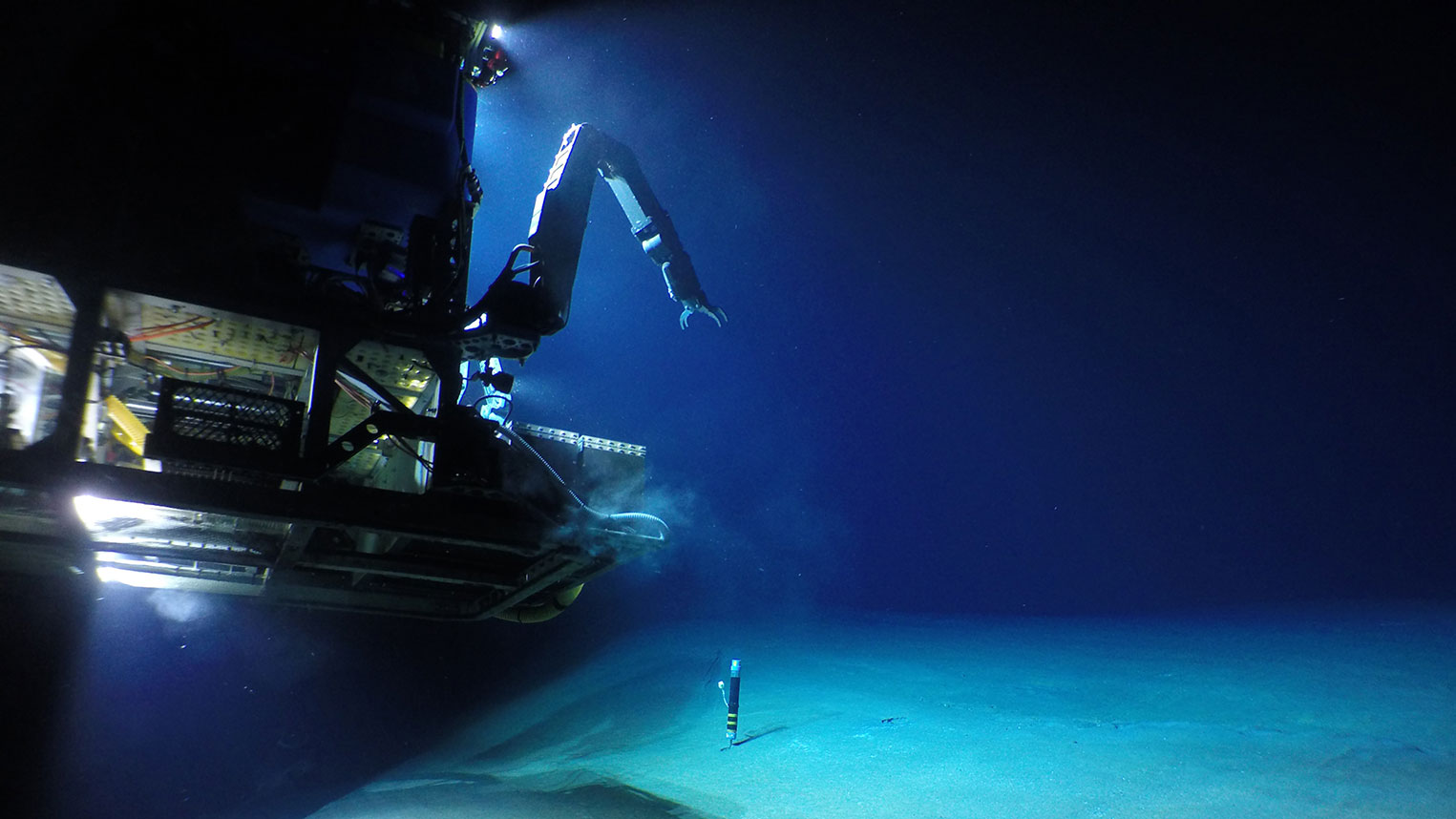 Dive & Discover