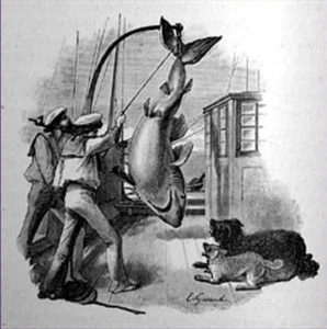 The Challenger Expedition - Dive & Discover