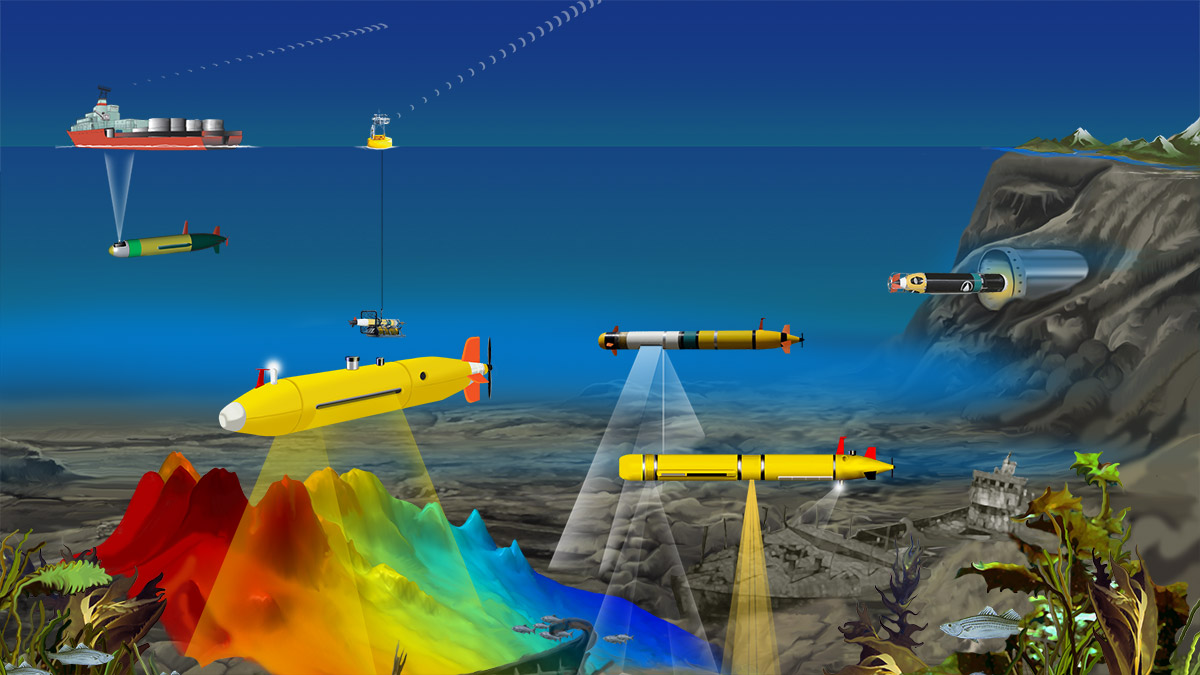 For Teachers - Dive & Discover