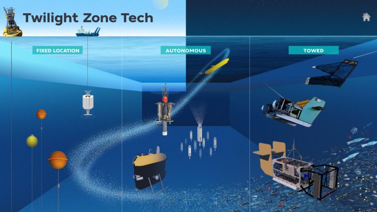 Ocean Twilight Zone Basics Interactive